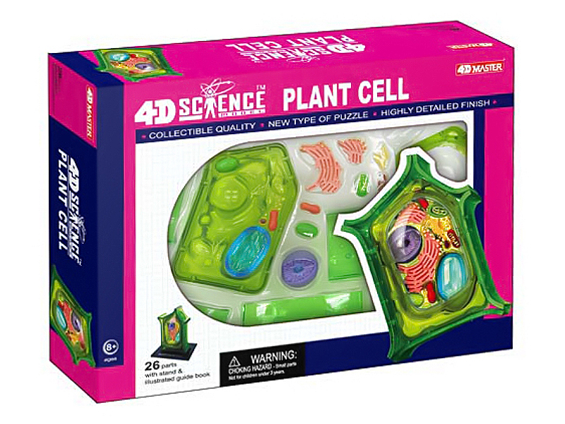 4D Vision Science Model Plant Cell - famemaster.com
